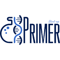 Startup Primer 2026 Company Profile: Valuation, Funding & Investors ...