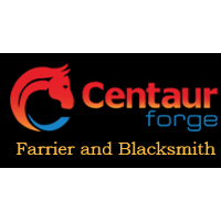Centaur Forge 2026 Company Profile: Valuation, Investors, Acquisition ...