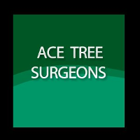Ace Tree Surgeons 2026 Company Profile: Valuation, Funding & Investors ...
