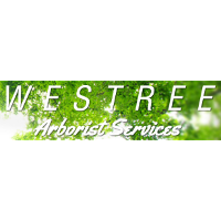 Westree 2026 Company Profile: Valuation, Investors, Acquisition | PitchBook