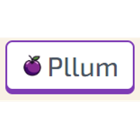 Pllum 2026 Company Profile: Valuation, Funding & Investors | PitchBook