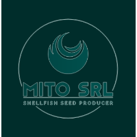 MITO (Italy) 2026 Company Profile: Valuation, Funding & Investors ...