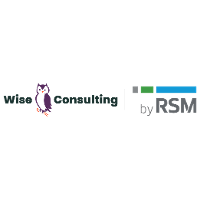 Wise Consulting Associates Company Profile: Service Breakdown & Team ...