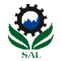 SAL Automotive 2026 Company Profile: Stock Performance & Earnings ...