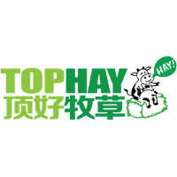 Top Hay 2026 Company Profile: Valuation, Funding & Investors | PitchBook
