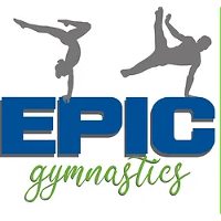Epic Flips And Fun 2026 Company Profile: Valuation, Funding & Investors ...
