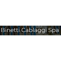 Binetti Cablaggi 2026 Company Profile: Valuation, Funding & Investors ...