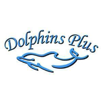 Dolphins Plus 2026 Company Profile: Valuation, Funding & Investors ...