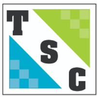 Technology Solutions Consultants 2026 Company Profile: Valuation ...