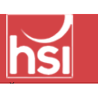 HSI (IT Consulting and Outsourcing) 2026 Company Profile: Valuation ...
